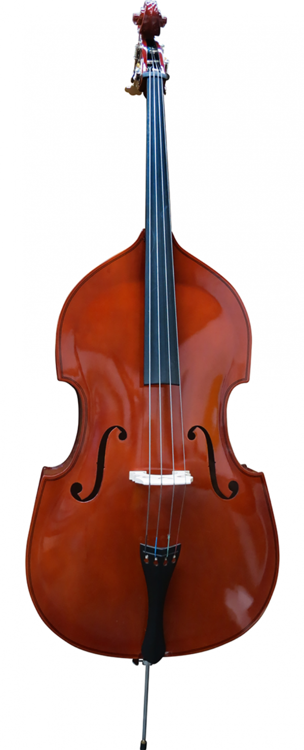 CONTRABAJO PROFESIONAL 1/2 AMADEUS CELLINI – Sala Beethoven