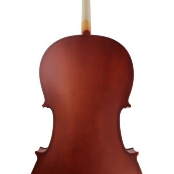 Cello – Sala Beethoven