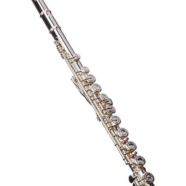 Flauta Transversal – Sala Beethoven